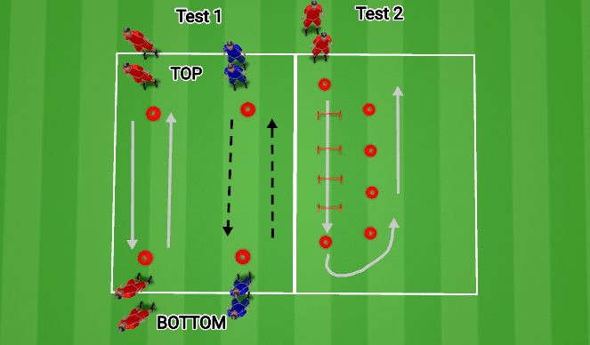 Football/Soccer: Fitness & Agility (Physical: Agility, Academy Sessions)