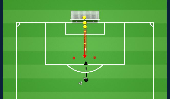 Football/Soccer: Footwork with ladder (Goalkeeping: Footwork/Handling ...