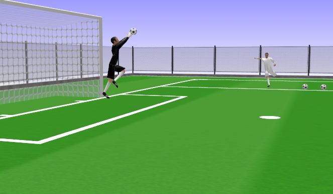 Football/Soccer: Jovan Petkovic 89. box (Goalkeeping: Crossing/High ...