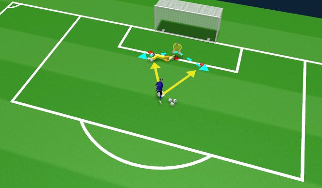 Football/Soccer: Diving and agility (Goalkeeping: Agility/Diving ...