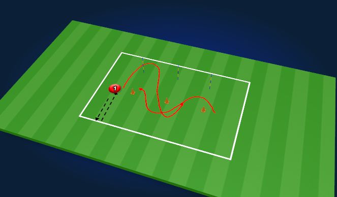 Football/Soccer: 1 to 1 (Technical: General, Academy Sessions)