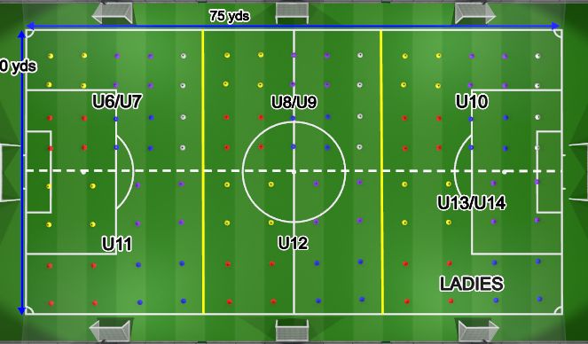 Football/Soccer: Rhian Wilkinson - FAW 28/01/2025 (Technical: General ...