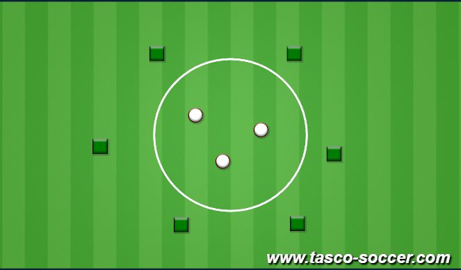 Football/Soccer: 2/11/25 (Tactical: Functional, Academy Sessions)