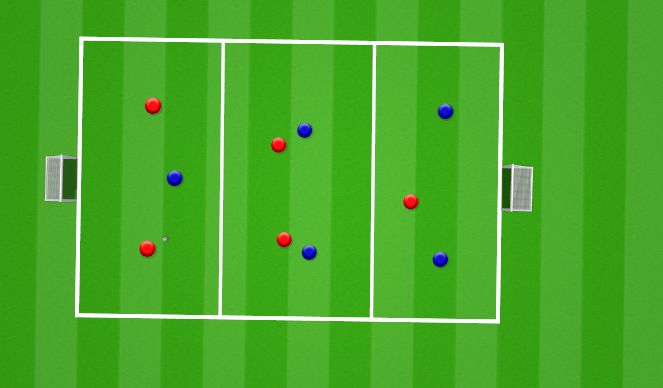 Football/Soccer: SSG (Small-Sided Games, Academy Sessions)