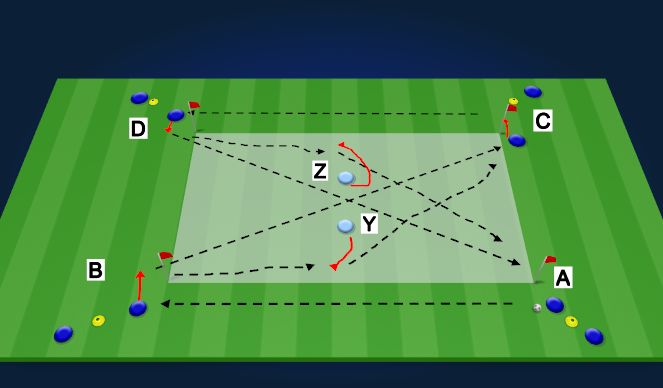 Football/Soccer: Build up and Progession (Tactical: Possession, Moderate)