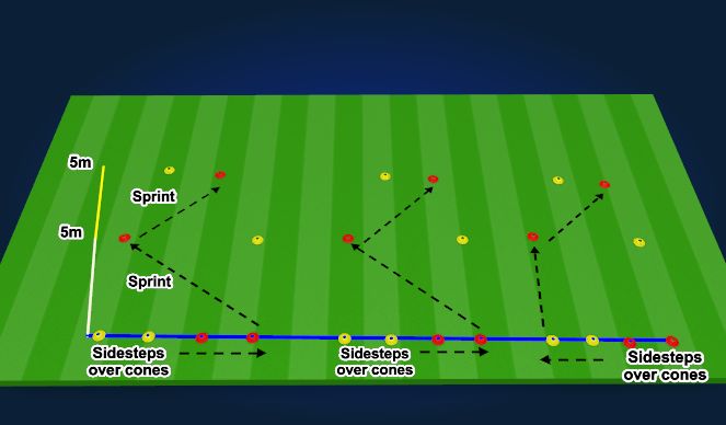 Football/Soccer: Reaction speed (Physical: Agility, Beginner)
