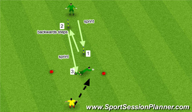 Football/Soccer: saq 1 (Goalkeeping: General, Academy Sessions)