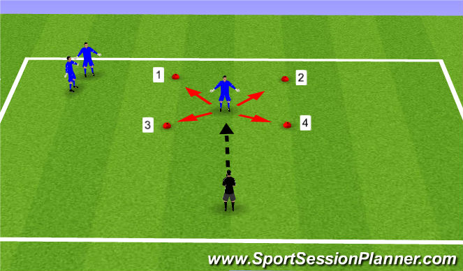Football/Soccer: Feet & Go (Goalkeeping: General, Moderate)
