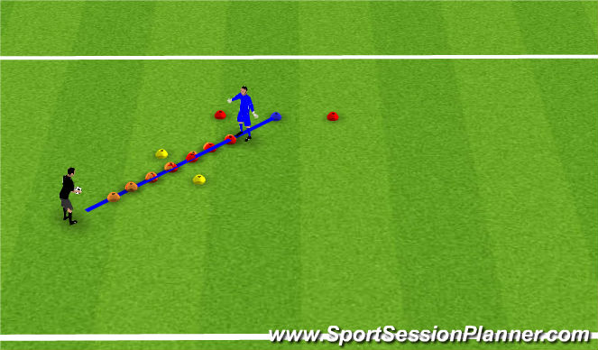 Football/Soccer: Movement (Goalkeeping: Footwork/Handling, Beginner)