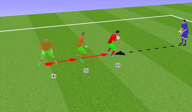 Football/Soccer: Movements (Goalkeeping: Footwork/Handling, Moderate)