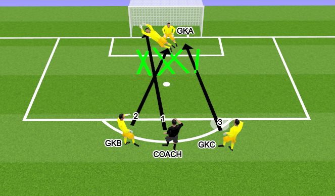 Football/Soccer: hapoel beer sheva 13 (Goalkeeping: General, Moderate)