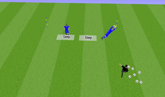 Football/Soccer: VELOCIDAD CON STEPS (Goalkeeping: Reaction saves ...
