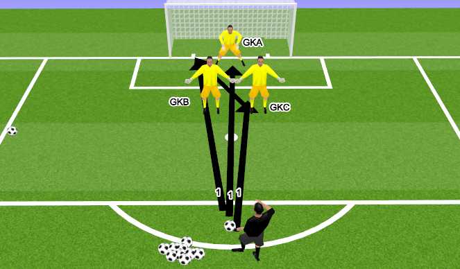 Football/Soccer: hapoel beer sheva 33 (Goalkeeping: General, Difficult)
