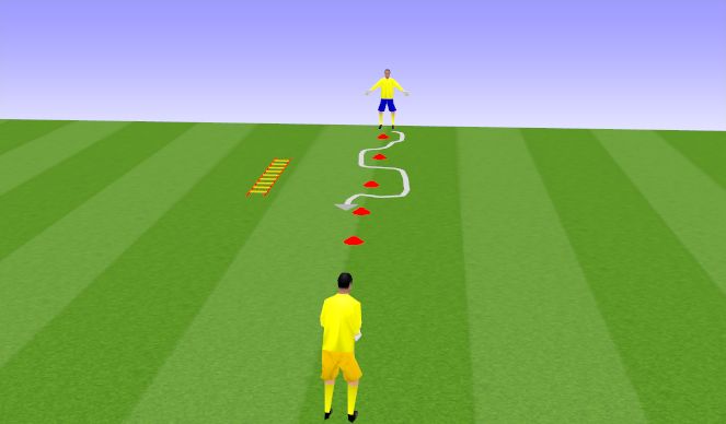 Football/Soccer: FAW C License Diving session. (Goalkeeping: Agility ...