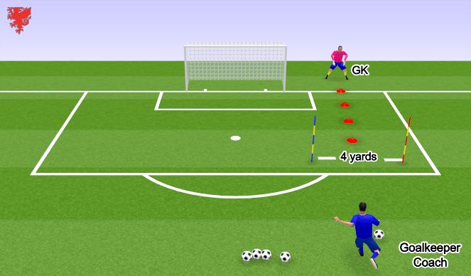 Football/Soccer: Shot Stopping Session ( including angled shots ...