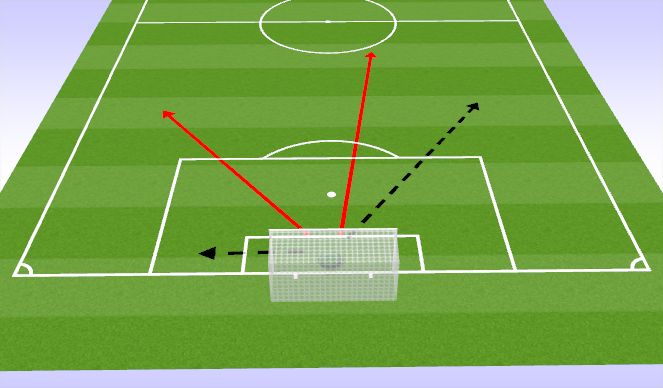 Football/Soccer: Analysis the Goalplayer (Goalkeeping: General, Moderate)