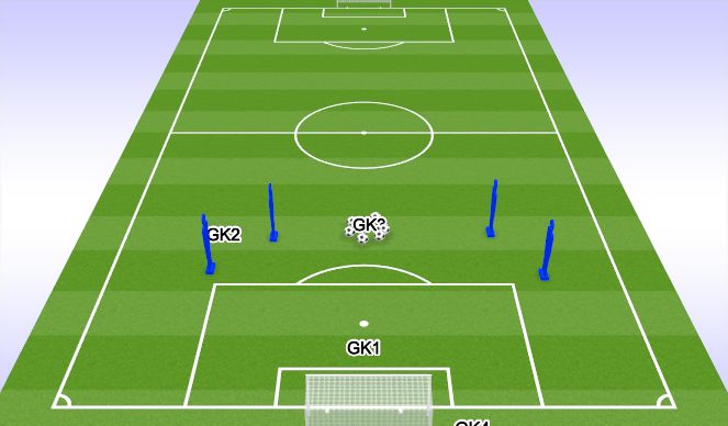 Football/Soccer: EXAMPLES OF GOOD TRAINING ENVIRONMENTS FOR GOALKEEPER ...