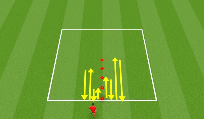 Football/Soccer: Pre-Season Exercises (Physical: Endurance, Beginner)