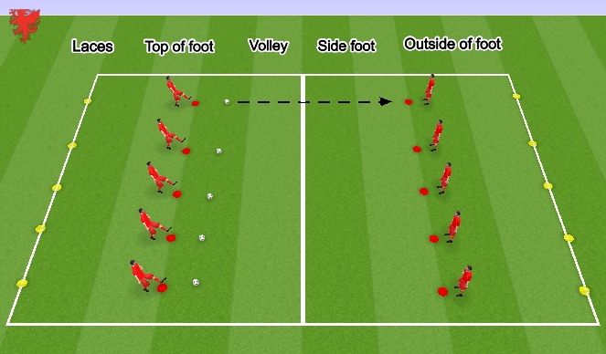 Football/Soccer: Striking the Ball (Technical: Bilateral ball striking ...