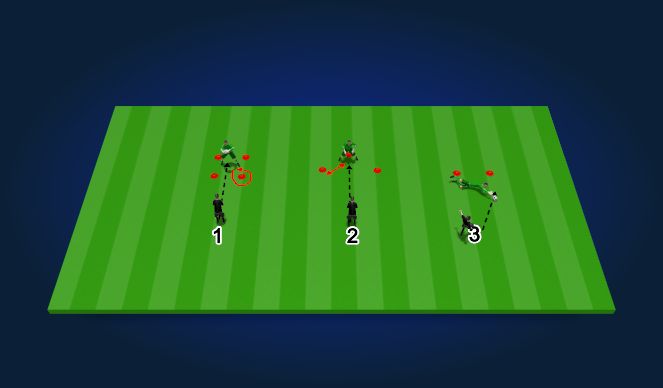 Football/Soccer: Session Ideas (Goalkeeping: General, Moderate)