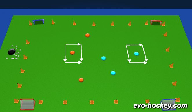 Hockey: Test (Technical: Goal Scoring, Under 16s)