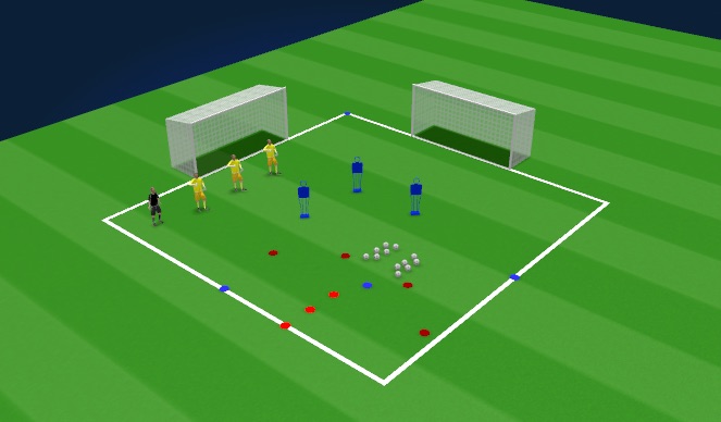 Football/Soccer: Defend the Goal: Cut Backs & Angled Shots (Goalkeeping ...